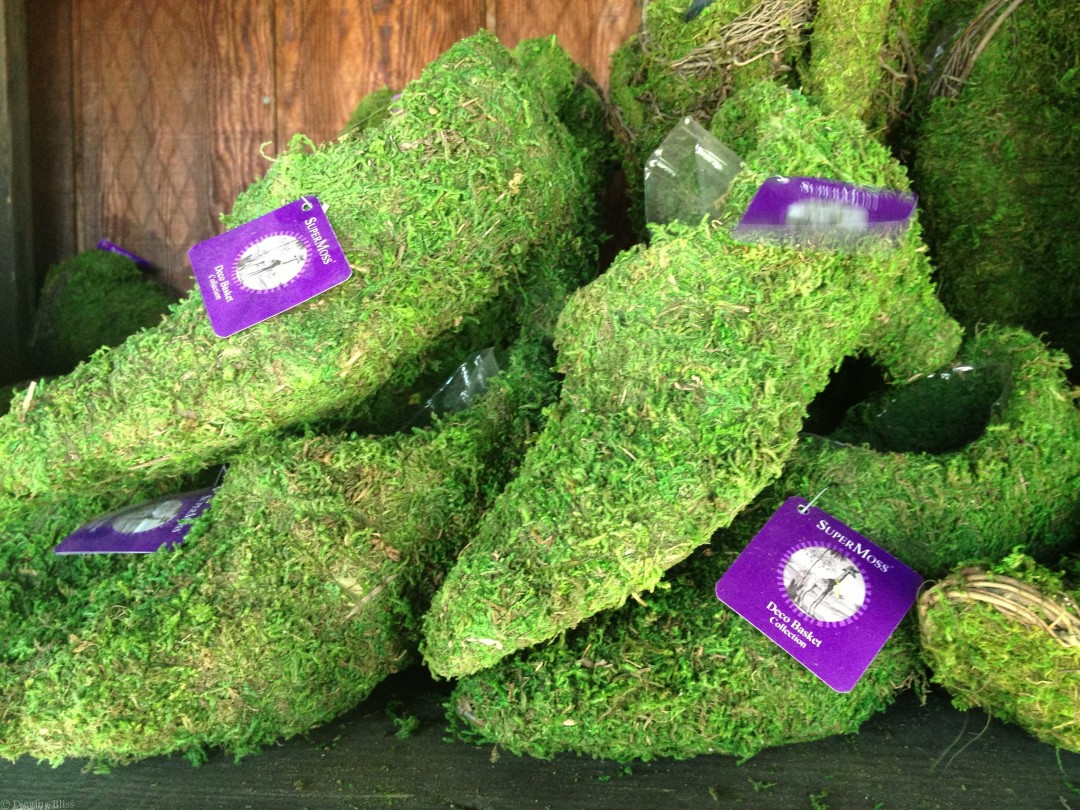 Super Moss Plantable Purses and Handbags | Digging Bliss