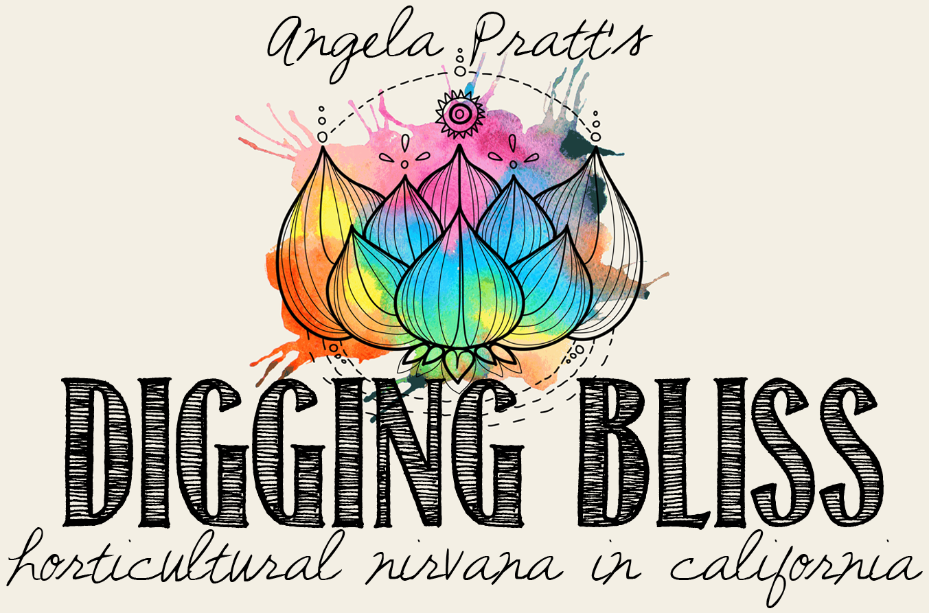 digging_bliss_logo | Digging Bliss